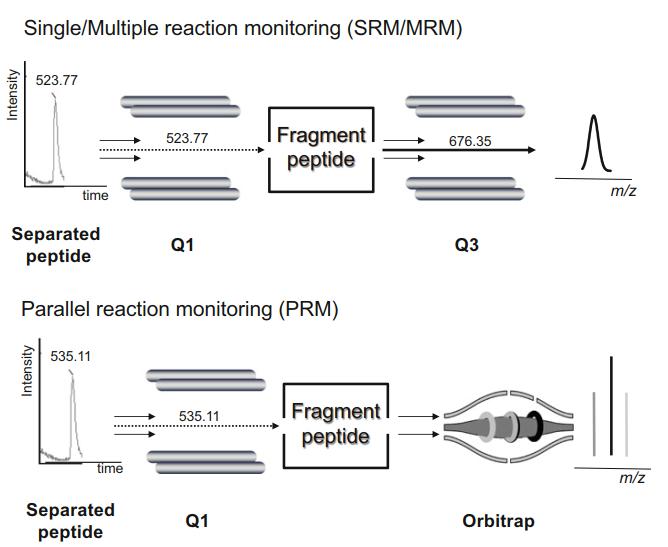 6大秘籍，让你的蛋白质组研究6到飞起~-观察-生物探索