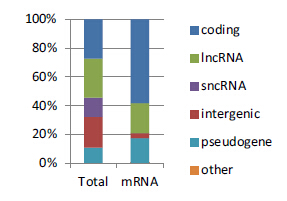 Total RNA，安诺带你飞~-观察-生物探索