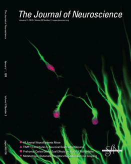 J Neurosci：Ω-3脂肪酸可保护并帮助神经损伤再生_生物探索